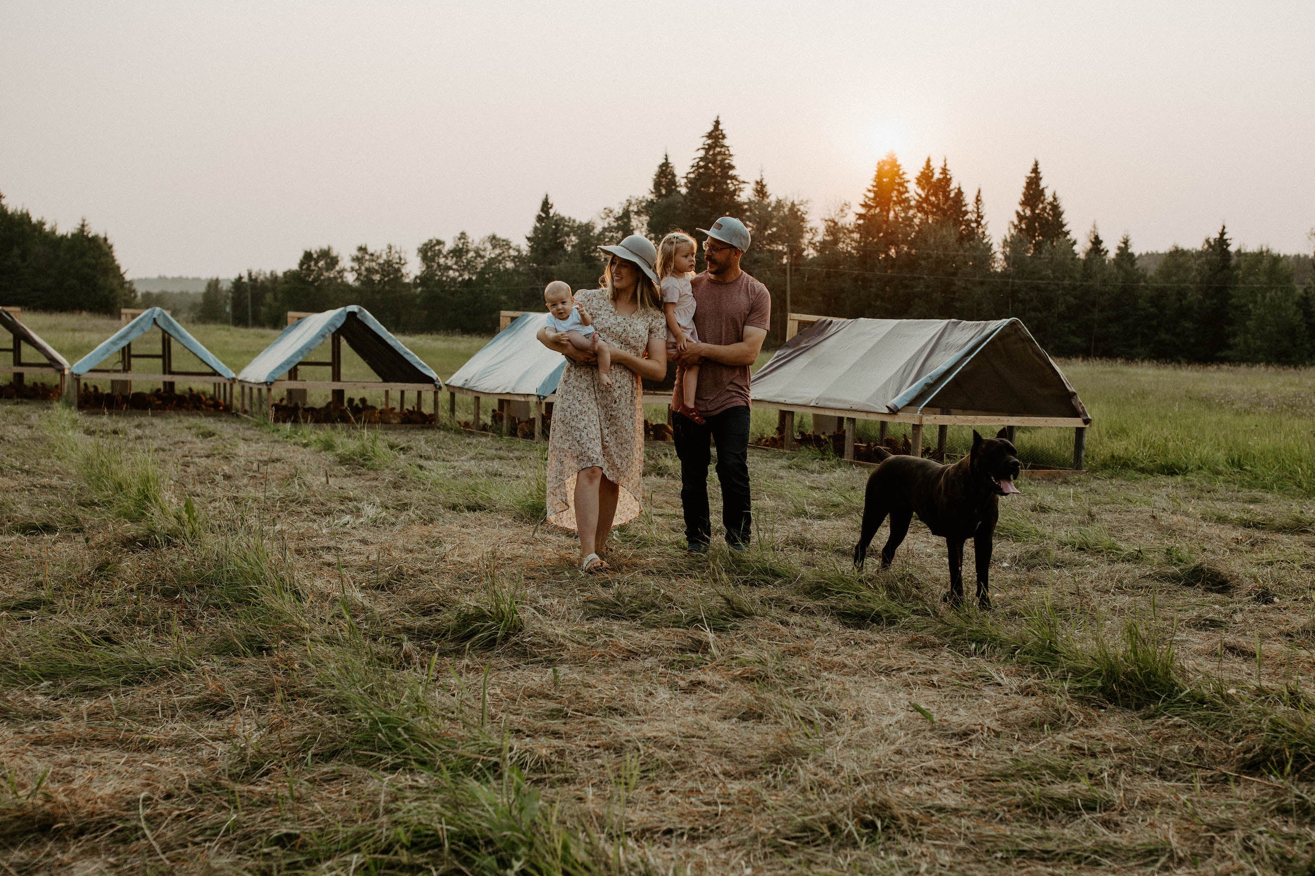 Vanderkley Valley Farm